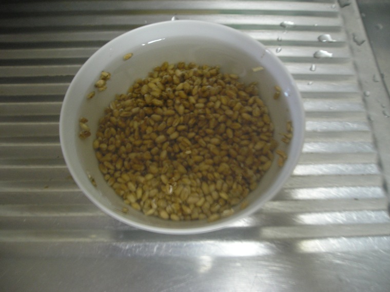 Wheat Gruel